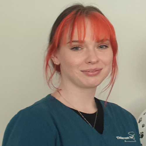 Our Team - Timbertown Veterinary Hospital